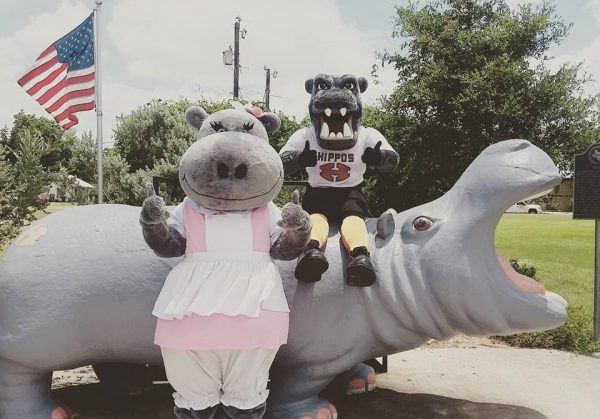 The Hutto Hippos Win Best Mascot In TexasHSFootball.com Mascot Madness ...