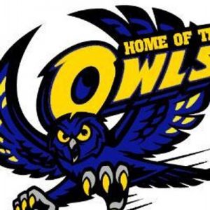 Vote: The Best Logos in Texas High School Football | Texas HS Football