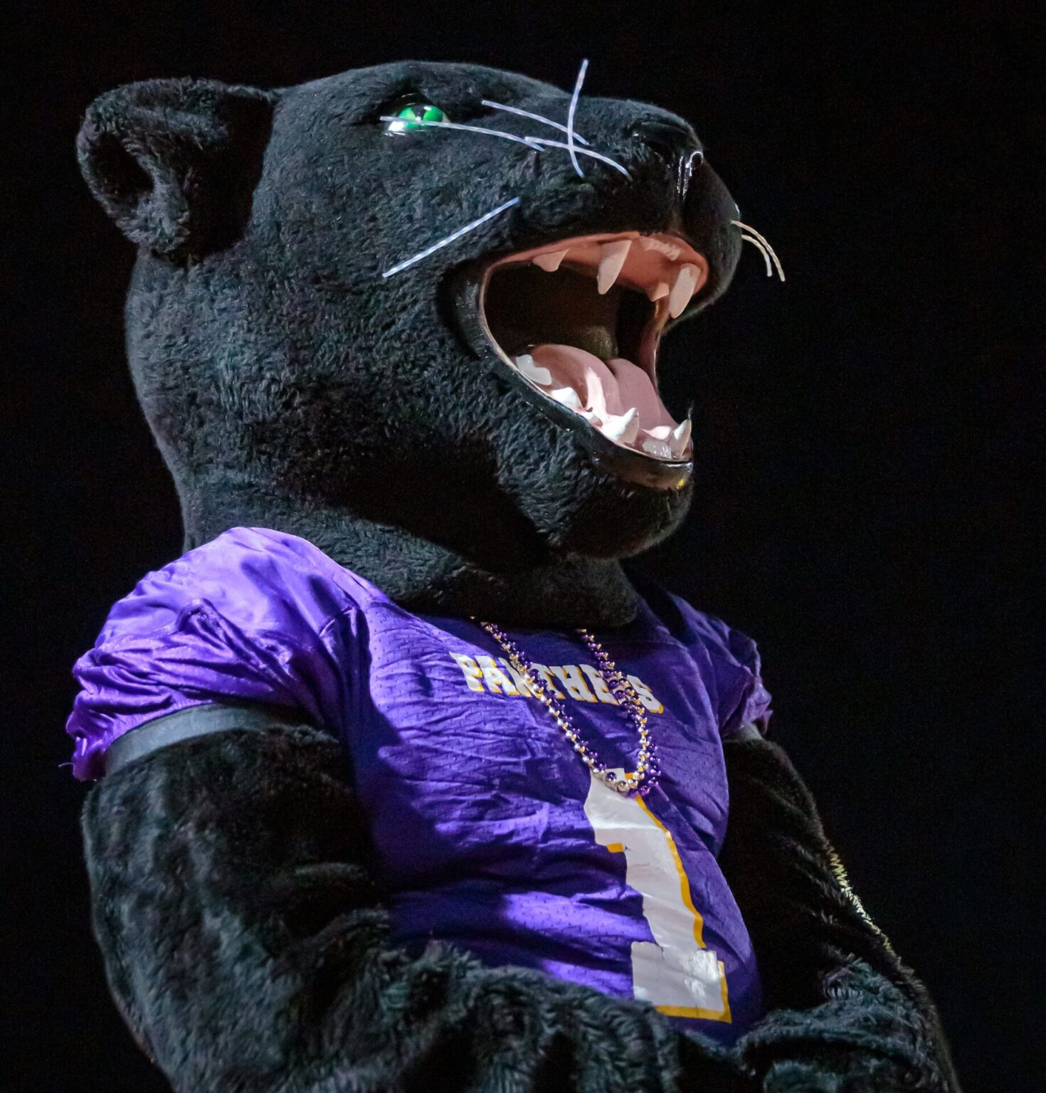 Photos from the Liberty Hill Panthers 56-53 win over the Mission ...