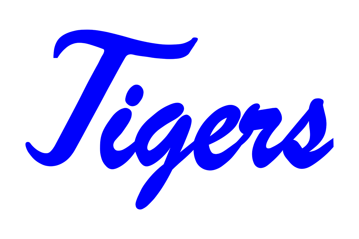 Week 7 Texas HS Football 3A Team of the Week