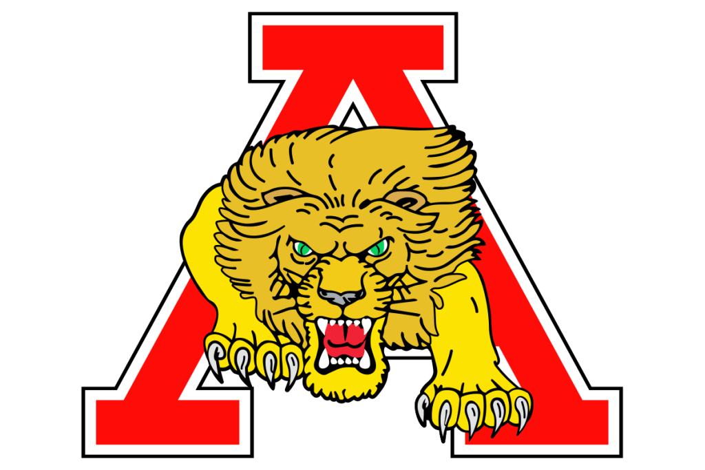2024 Albany Lions Season Preview | Texas HS Football