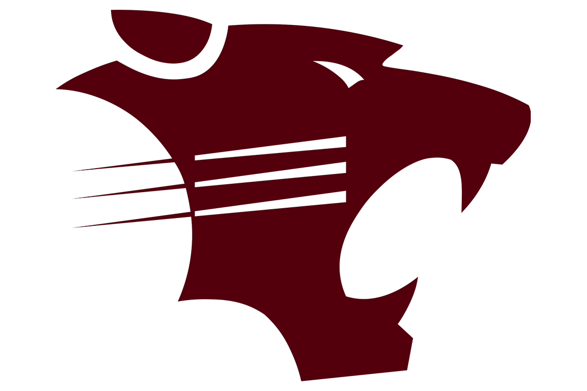 Week Ten 2A Team of the Week: Hawley | Texas HS Football