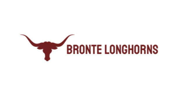 Small-Town Texas Football: A Bronte Longhorns Story