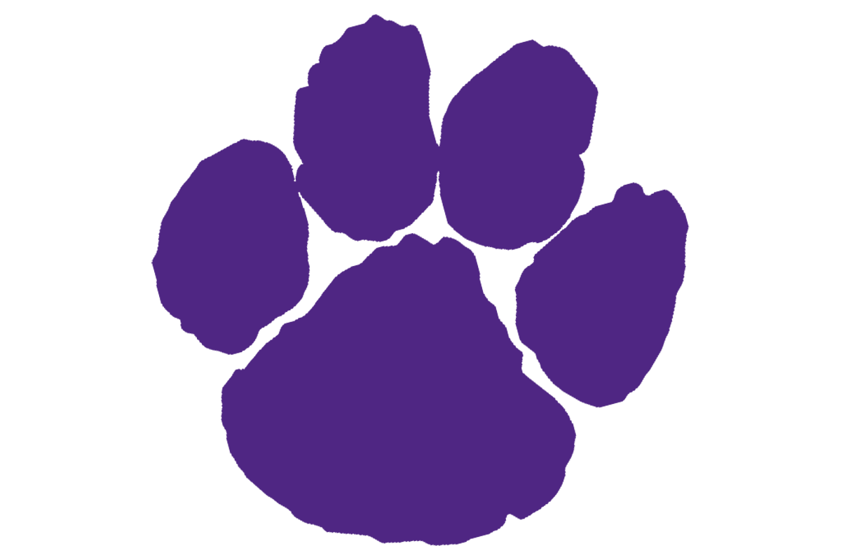 District 3-6A Season Preview | Texas HS Football