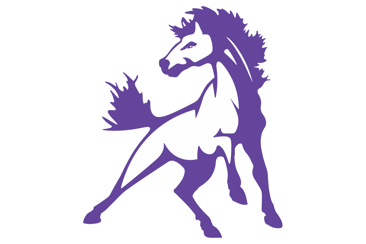 Benjamin Mustangs 2024 Season Preview | Texas HS Football