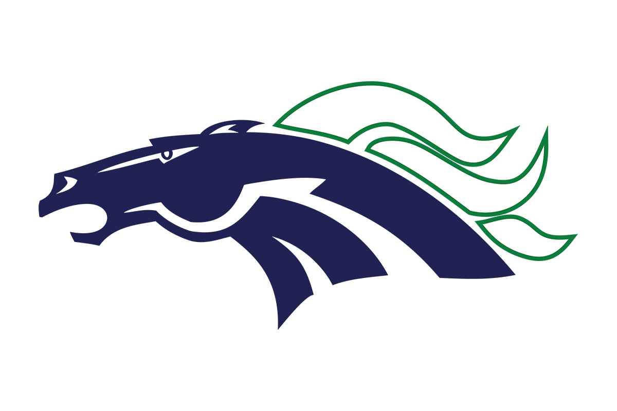 Week Six 6A Team of the Week: Round Rock McNeil