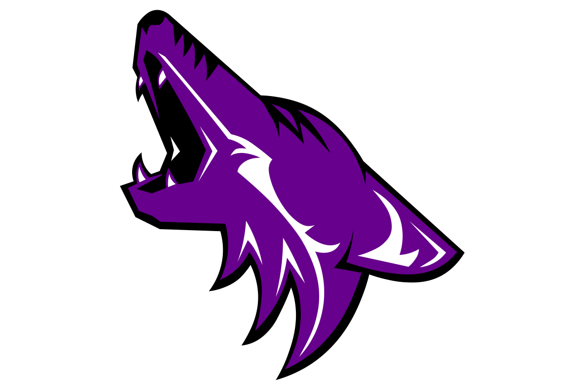 2024 Anna Coyotes Season Preview | Texas HS Football