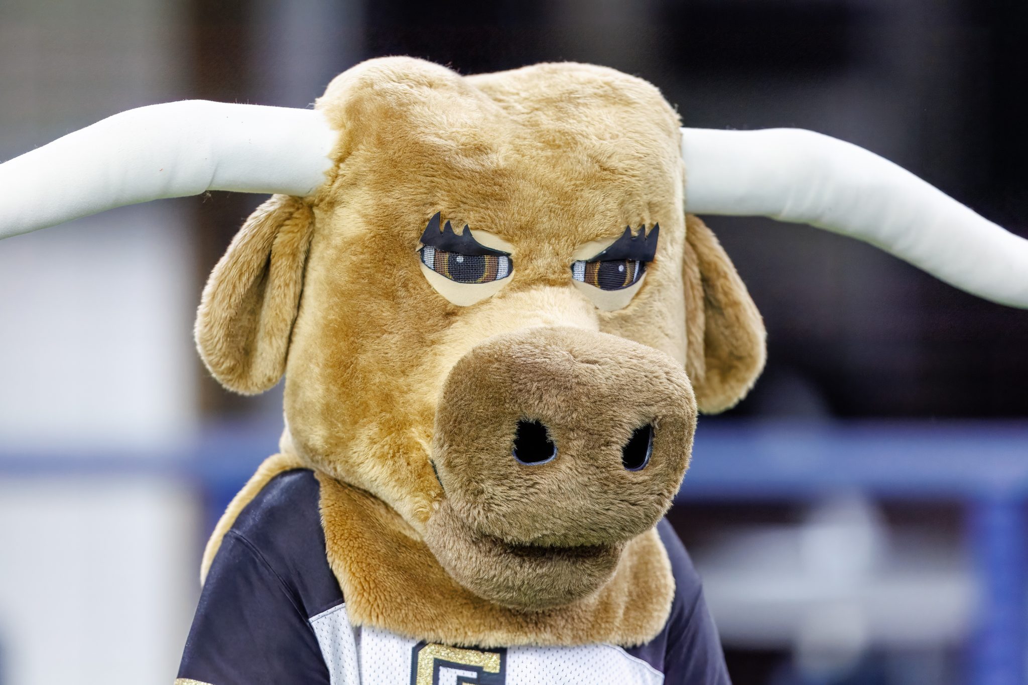 Gordon Dominates Whiteface to Win 1A Division I State Title